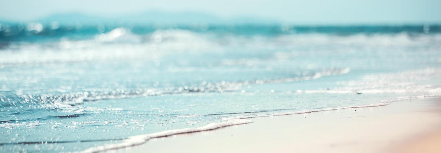 Meet the Team | Integrated Financial Partners